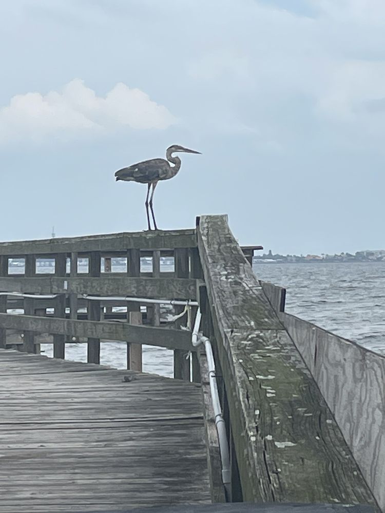 CASTAWAY POINT PARK - Updated June 2024 - 19 Photos - 2990 Bay Blvd NE ...