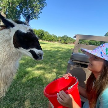 MOON RIVER RANCH - Updated November 2025 - 84 Photos & 24 Reviews - Cr ...