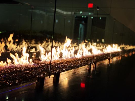 FLORA ROOFTOP BAR - 66 Photos & 56 Reviews - Lounges - 2130 E Maple Ave ...