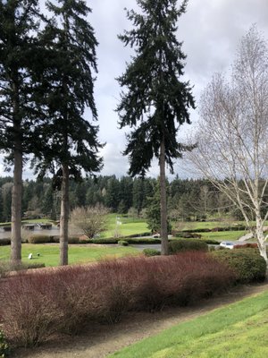 GLENDALE COUNTRY CLUB - 30 Photos - 13440 Main St, Bellevue, Washington ...