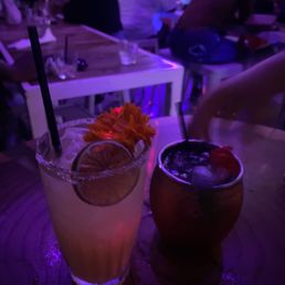 DARLING AVIARY - Updated December 2025 - 931 Photos & 781 Reviews - 712 ...