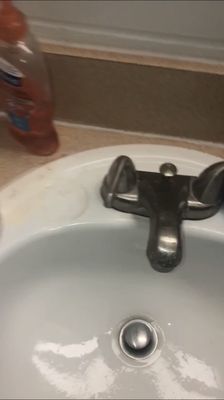 COLLEGIATE VILLAGE INN - Updated May 2024 - 11 Photos - 11850 ...