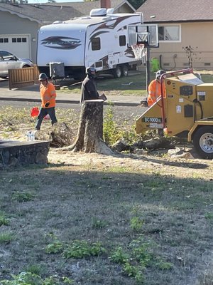 G GARCIA TREE SERVICE - Updated December 2025 - 80 Photos & 47 Reviews ...