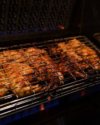 DIZZY BIRD - Updated May 2024 - 170 Photos & 201 Reviews - 555 The ...