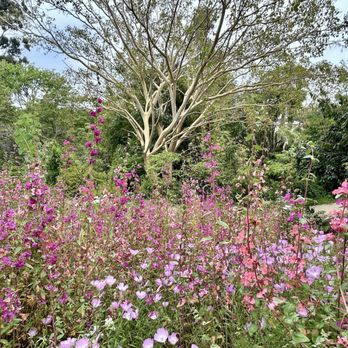 UCLA MATHIAS BOTANICAL GARDEN - Updated January 2026 - 462 Photos & 117 ...