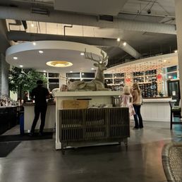 SURFING DEER - Updated May 2025 - 473 Photos & 351 Reviews - 2743 E ...