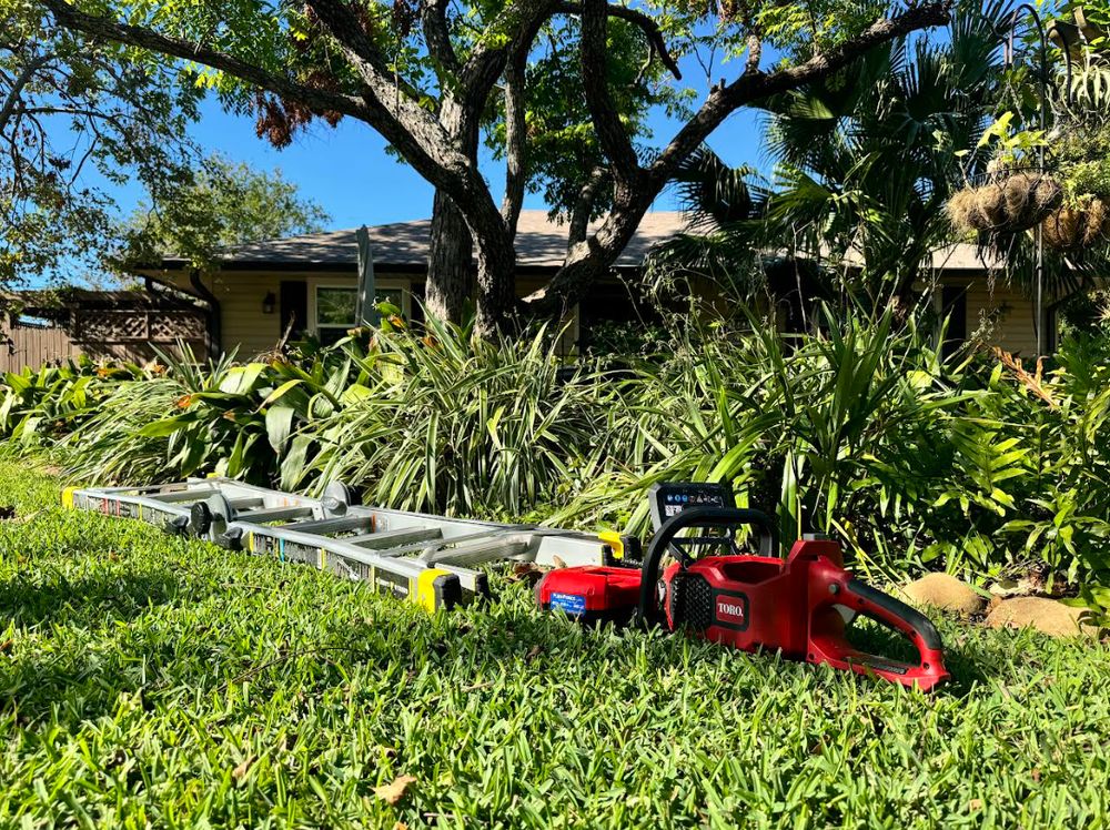 DIA SERVICES - Updated August 2025 - Request a Quote - 10 Photos ...