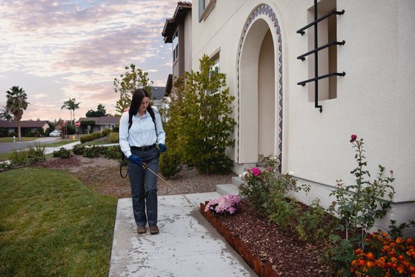 BROOKS PEST CONTROL - Updated September 2025 - 57 Photos & 578 Reviews ...