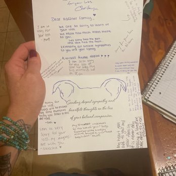 AVOCADO ANIMAL HOSPITAL OF FALLBROOK - Updated September 2025 - 36 ...