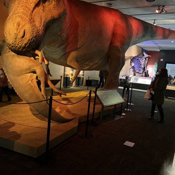 CRANBROOK INSTITUTE OF SCIENCE - Updated October 2025 - 257 Photos & 43 ...