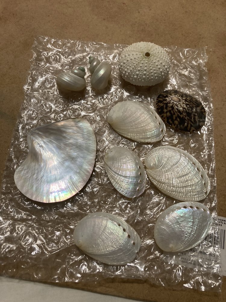 SHELLS SHELLS - Updated November 2024 - 14th & Ocean Frnt, Virginia ...
