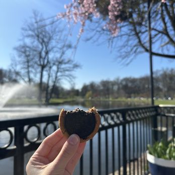 BOATHOUSE CAFE - Updated September 2024 - 147 Photos & 74 Reviews - 350 ...