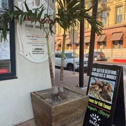 SHARK SHACK BEACH BAR & GRILL - Updated December 2025 - 1160 Photos ...