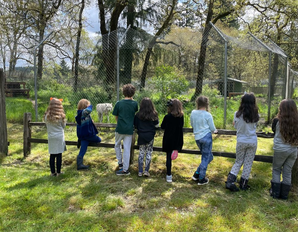 MADRONA VILLAGE SCHOOL - Updated December 2025 - 14 Photos - Seattle ...