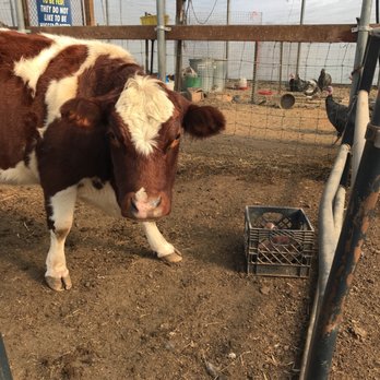 PEZZA FARM AND GARDEN CENTER - Updated October 2025 - 64 Photos & 18 ...