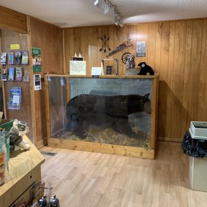 SMASH ‘N DASH RAGE ROOM - 21 Photos - 3111 Battlefield Pkwy, Resaca ...