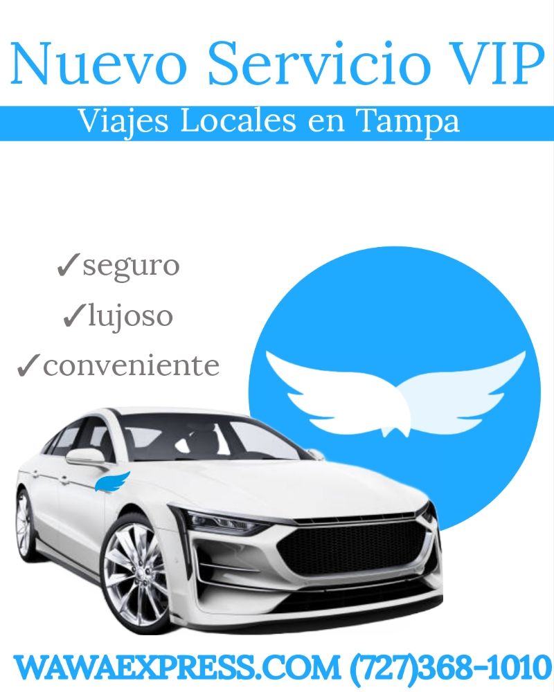 WAWA EXPRESS - Updated July 2025 - Tampa, Florida - Public ...