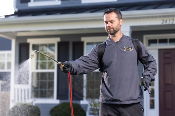 ACCEL PEST & TERMITE CONTROL - Updated December 2025 - 22 Reviews ...