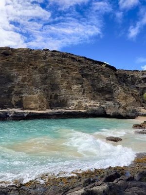 COCKROACH COVE - Updated October 2025 - 93 Photos & 26 Reviews - 8450 ...