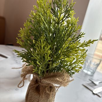 BABO DETROIT - Updated August 2024 - 499 Photos & 296 Reviews - 15 E ...