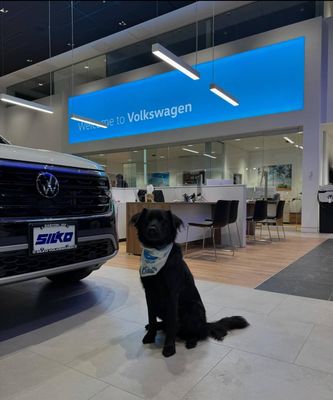 SILKO VOLKSWAGEN - Updated December 2025 - 38 Photos - 661 Washington ...