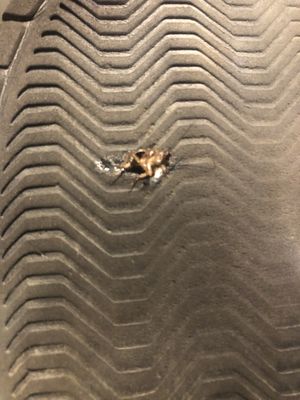 ZRS MANAGEMENT - Updated January 2026 - 100 Photos & 59 Reviews - 2001 ...