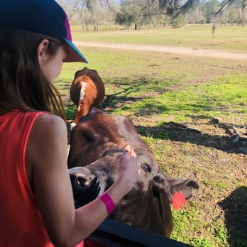 DIAMOND D RANCH - Updated December 2025 - 64 Photos & 22 Reviews - 5903 ...