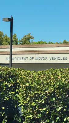 DEPARTMENT OF MOTOR VEHICLES - CONCORD - Updated September 2025 - 63 ...