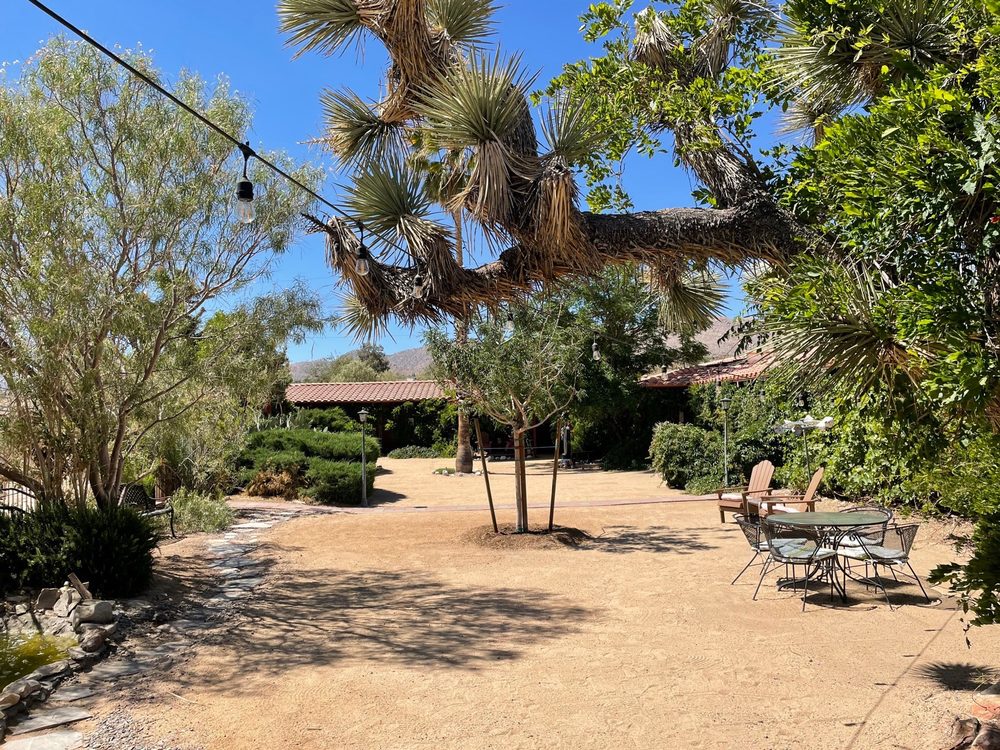 JOSHUA TREE INN & MOTEL - 225 Photos & 148 Reviews - 61259 29 Palms Hwy ...