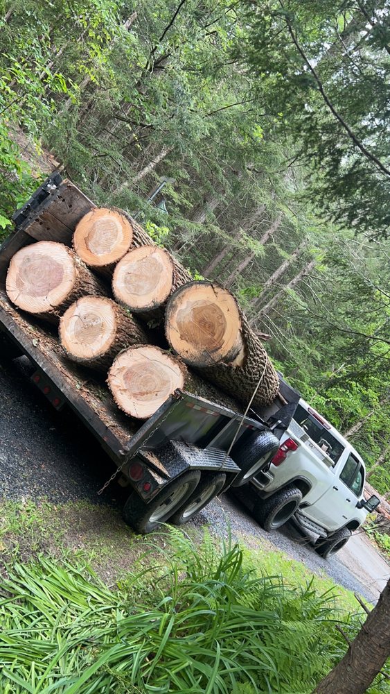 ALPHA ARBOR - Updated June 2025 - Request a Quote - 10 Photos - 3643 ...