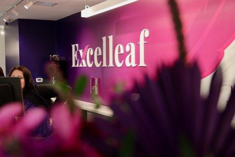 EXCELLEAF DISPENSARY - Updated November 2025 - 10 Photos - 305 E Locust ...
