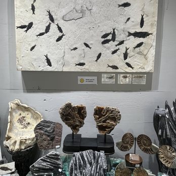 RARE EARTH GALLERY - Updated August 2024 - 250 Photos & 51 Reviews ...