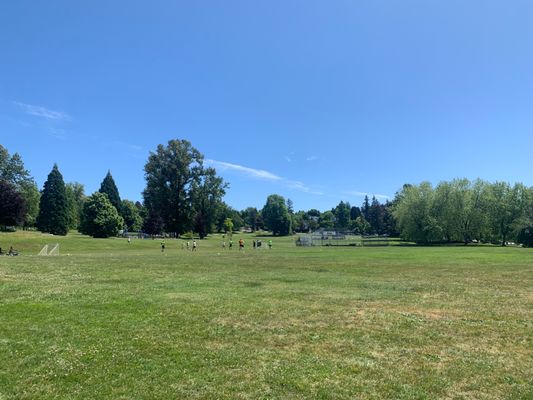 QUILCHENA PARK - Updated December 2025 - 16 Photos - 4590 Magnolia ...