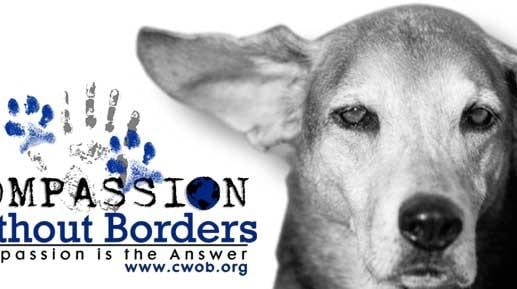 COMPASSION WITHOUT BORDERS - Updated July 2025 - 10 Photos & 15 Reviews ...