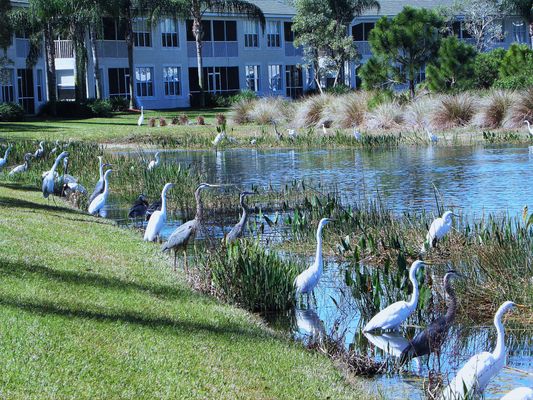 SPRING RUN GOLF CLUB - Updated October 2025 - 9501 Spring Run Blvd ...