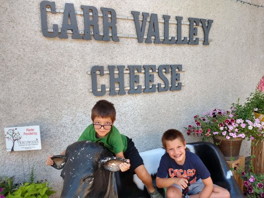 CARR VALLEY CHEESE - 14 Photos & 16 Reviews - 1042 E State St, Mauston ...