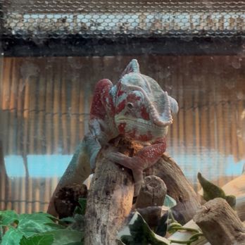 EAST BAY VIVARIUM - Updated January 2026 - 726 Photos & 619 Real ...