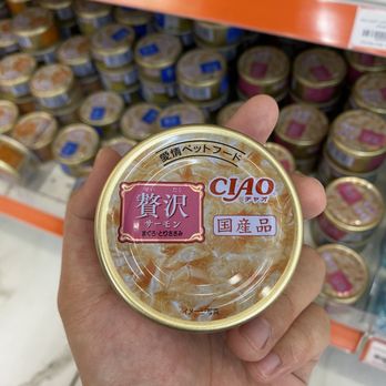 TESO LIFE - Updated October 2025 - 183 Photos & 78 Reviews - 2180 ...