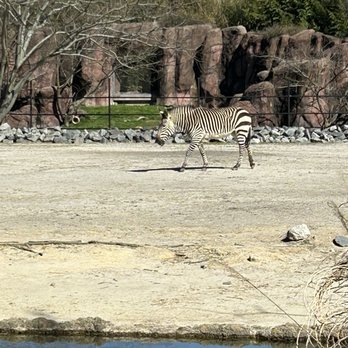 VIRGINIA ZOO - Updated August 2025 - 1599 Photos & 256 Reviews - 3500 ...