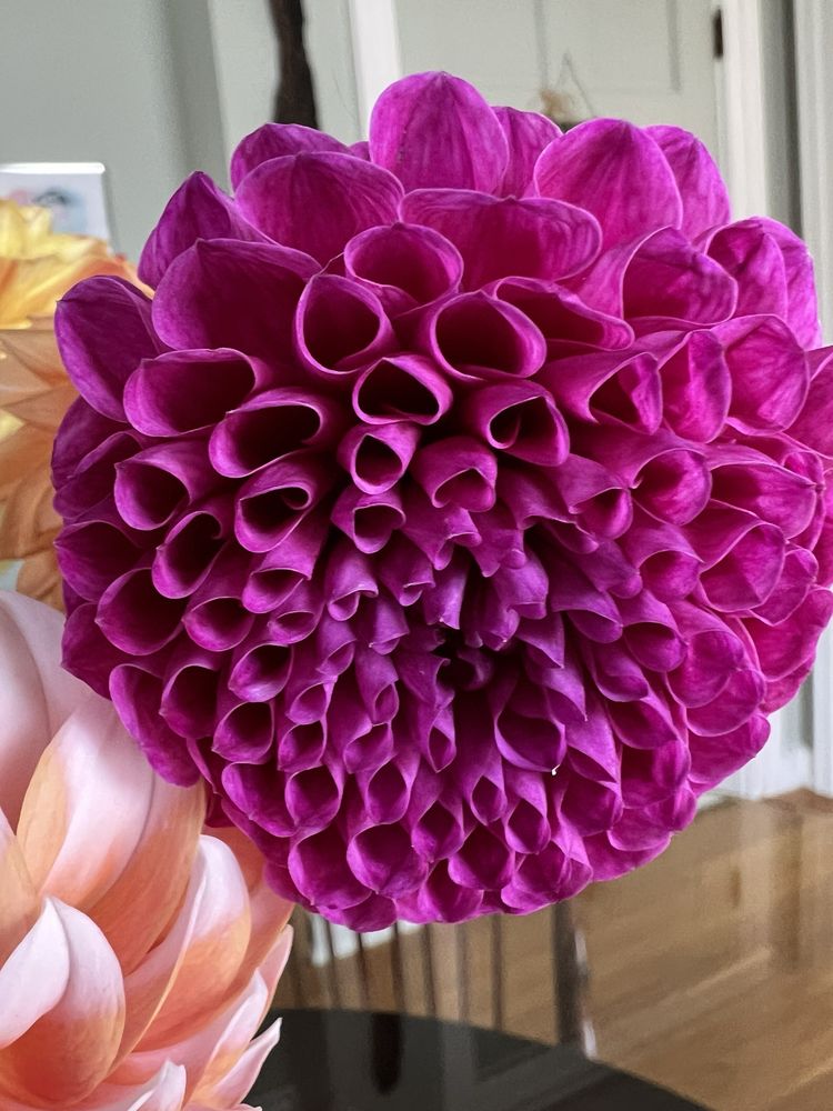 HACKMATACK FARM - Updated October 2025 - 17 Photos - 586 Horse Hill Rd ...