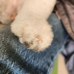 HYDRODOG BERT - Updated December 2025 - 34 Photos & 22 Reviews ...