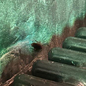 KING’S RANSOM - Updated August 2024 - 160 Photos & 103 Reviews - 728 ...