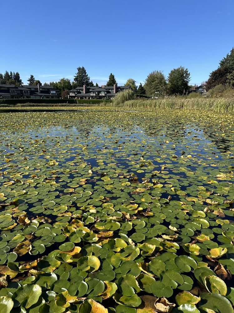 MILL LAKE PARK - Updated December 2025 - 2310 Emerson Street ...