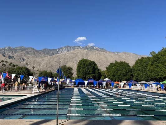 THE PALM SPRINGS SWIM CENTER - Updated January 2025 - 10 Photos & 25 ...