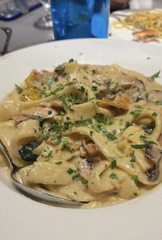 THE EXPRESS ITALIAN EATERY - Updated July 2024 - 1477 Lakeshore Road ...