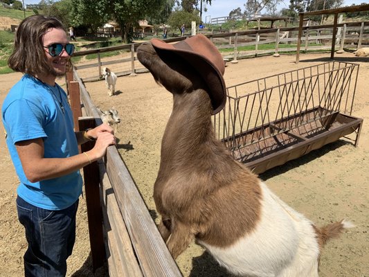 RAWHIDE RANCH - 53 Photos & 24 Reviews - 6987 W Lilac Rd, Bonsall, CA ...