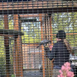 CASCADES RAPTOR CENTER - 198 Photos & 91 Reviews - 32275 Fox Hollow Rd ...