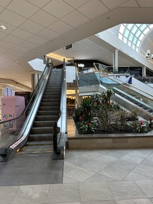 GEORGIAN MALL - Updated January 2026 - 22 Photos & 16 Reviews - 509 ...