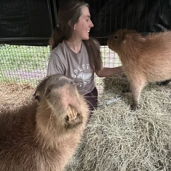 THE DUNHAM FARM - Updated August 2025 - 44 Photos - 3501 FM1187 ...