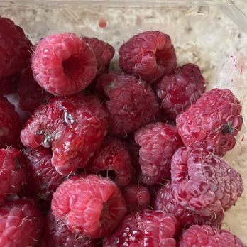 ELGIN FRESH MARKET - Updated December 2025 - 34 Photos & 33 Reviews ...